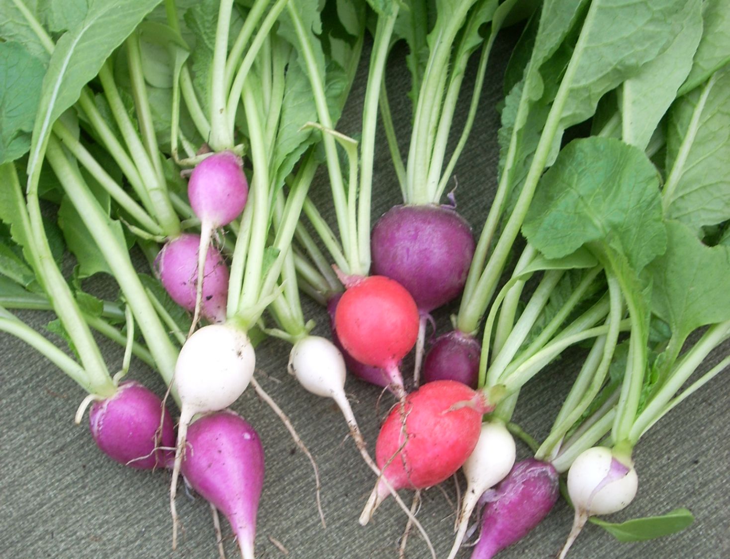 20 Foods That Taste Bad But Are Really Good For You - HealthByWealth