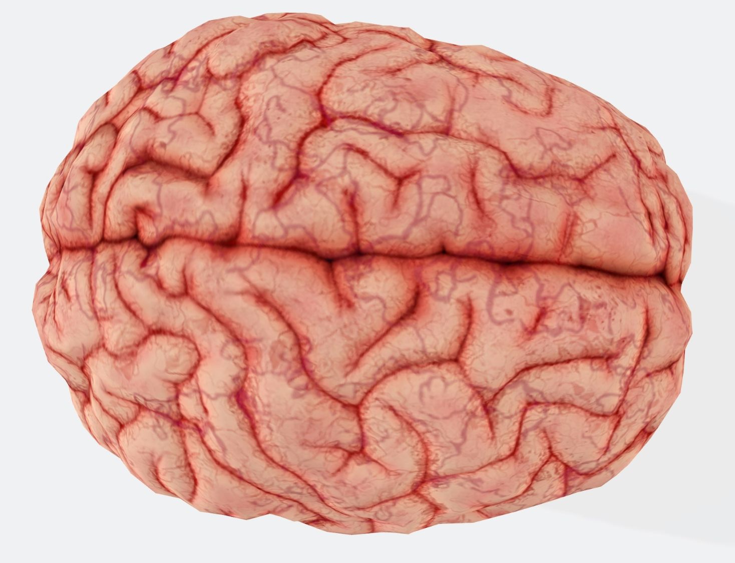 20 Ways To Keep Your Brain Sharp As You Age - HealthByWealth