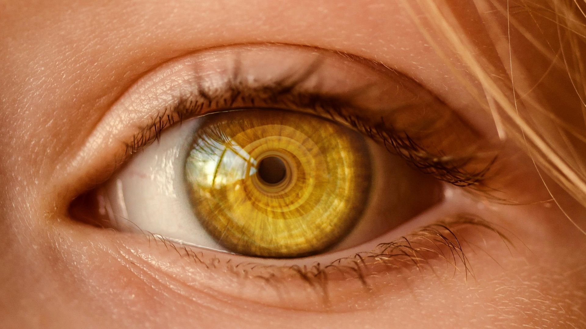 20 Fascinating Facts About The Human Eye - HealthByWealth
