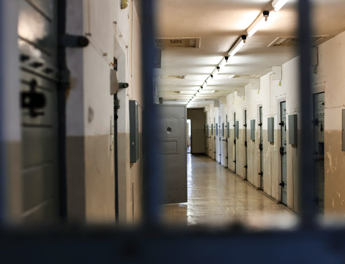 How The Netherlands Reduced Crime And Shut Down Its Prisons - RoughMaps