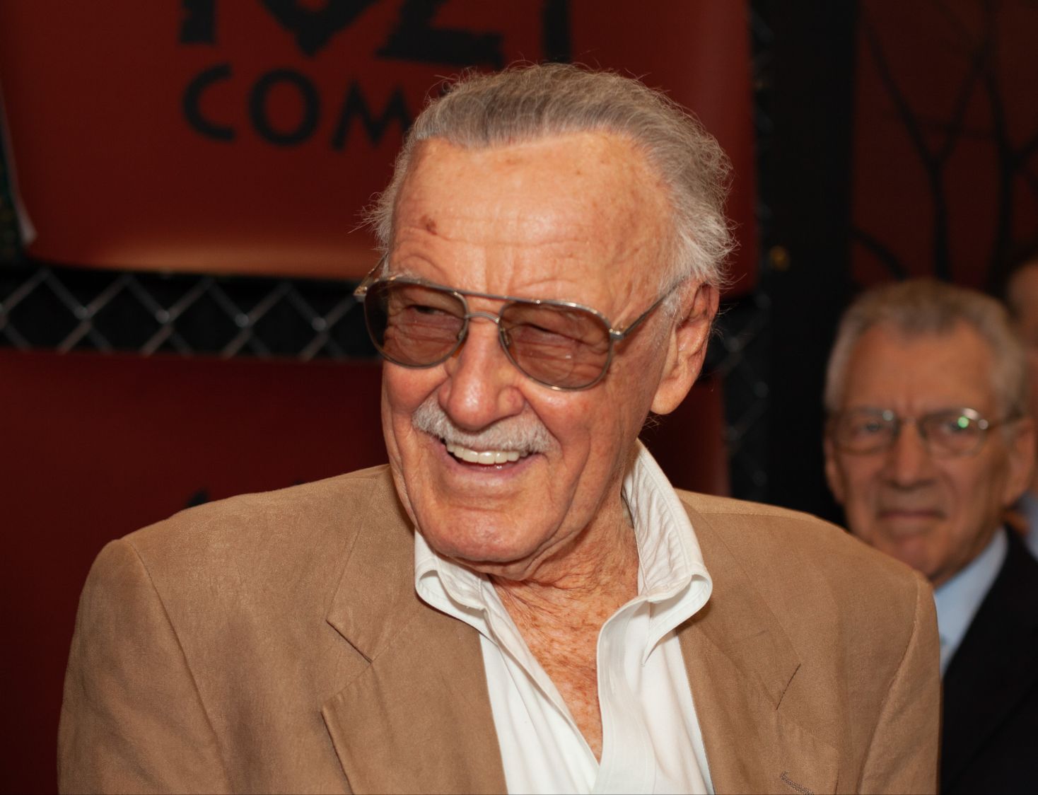 10 Facts About Stan Lee & 10 Of His Best Cameos - TheSavvyGamer